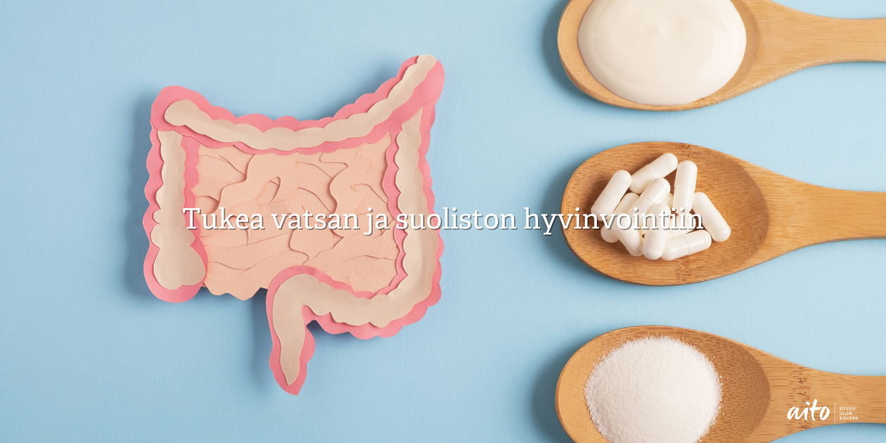 Vatsa ja suolisto— Aitokauppa