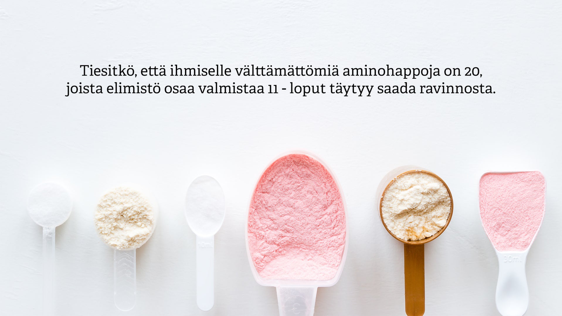 Aminohapot— Aitokauppa